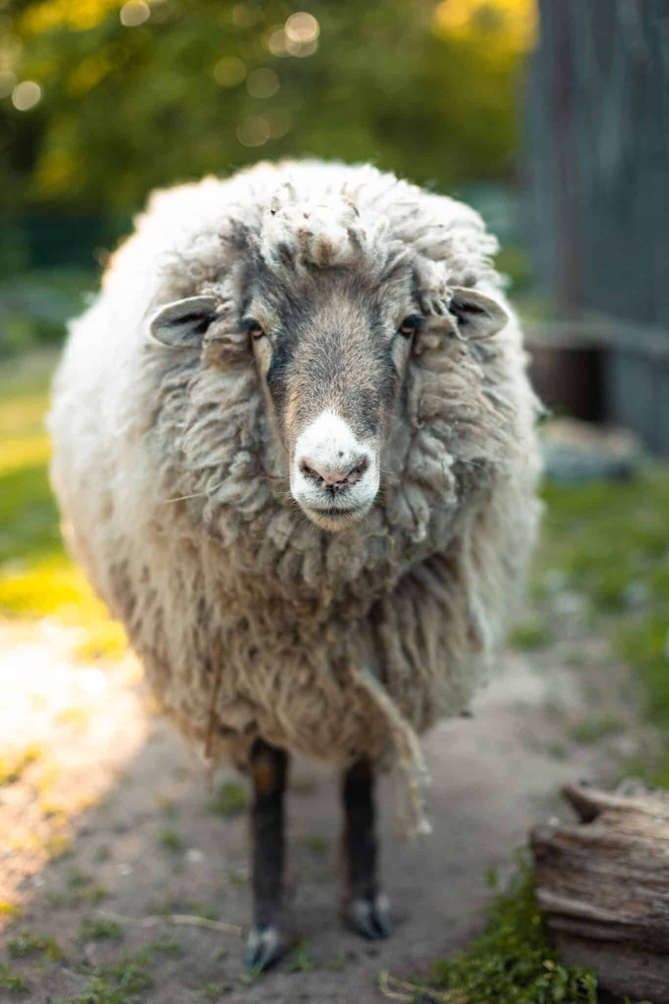 How to Write a Goal Statement That Works: 3 Simple Steps with Examples